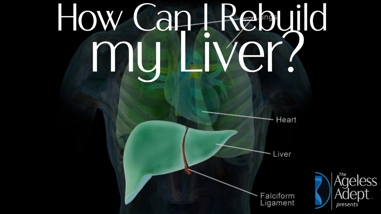 How Can I Rebuild Liver Function After Multiple Water Fasts & Coffee ...