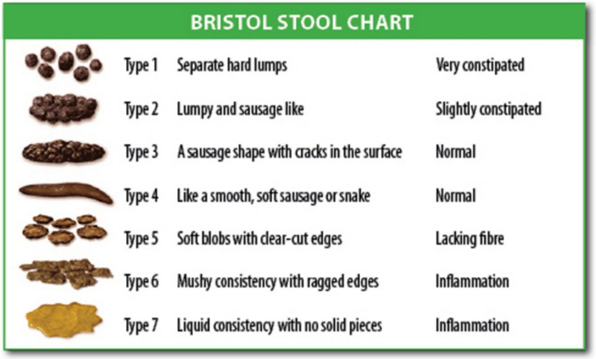 Signs of Intestinal Recovery | The Bristol Stool Chart - The Ageless ...