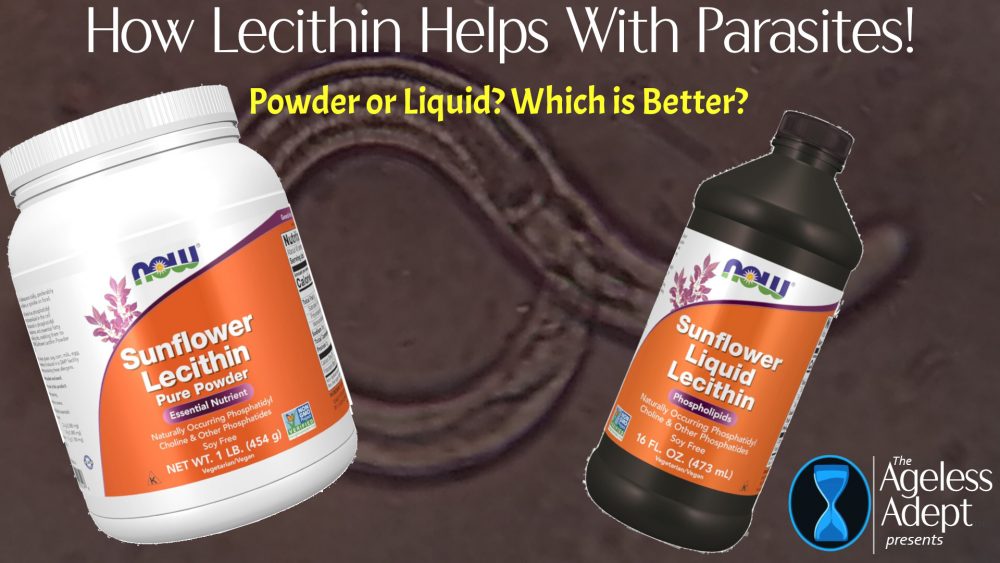 How Can Lecithin Help With Parasites? - The Ageless Adept...