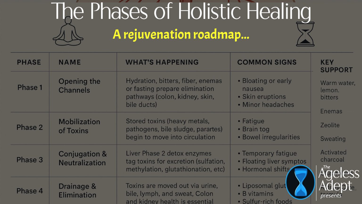 Stages of Holistic Detox – The Ageless Adept…