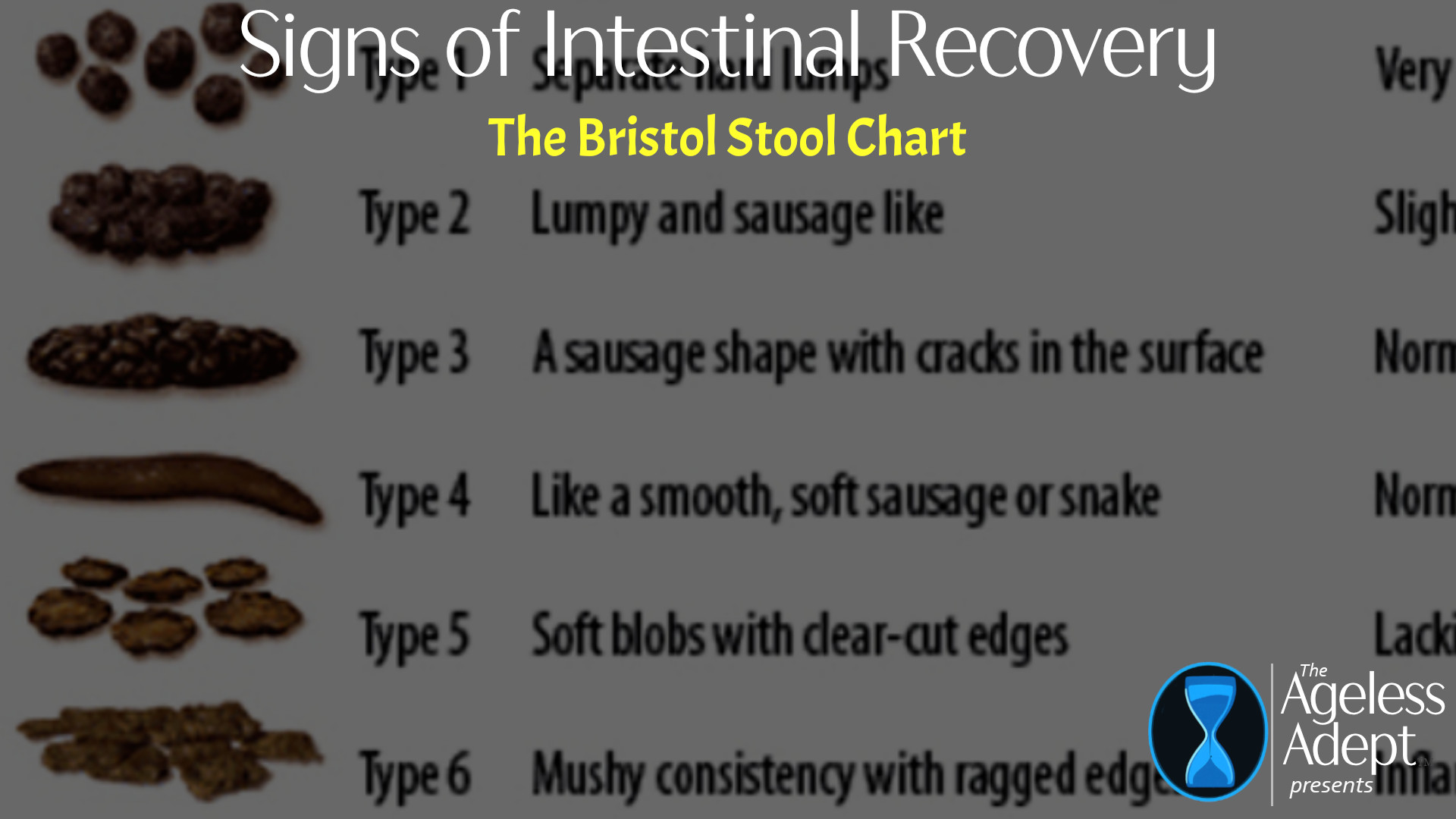 Signs of Intestinal Recovery | The Bristol Stool Chart – The Ageless Adept…