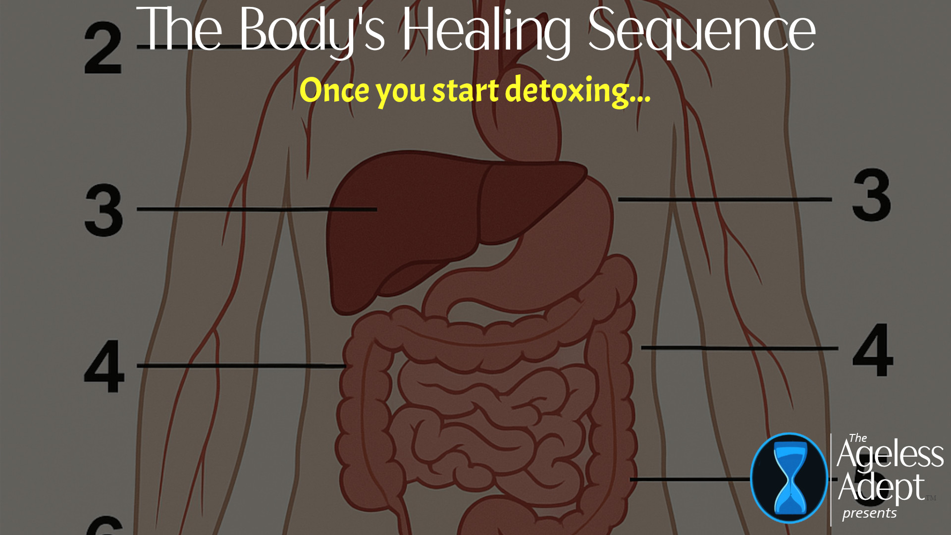 The Body’s Unique Healing Sequence (1. Digestive tract, 2. Gallbladder ...