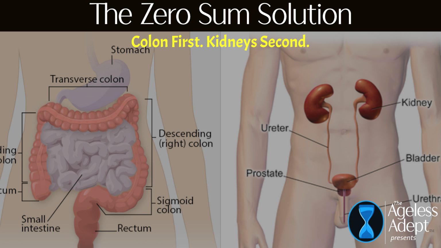 Overcoming the Zero Sum Trap: Colon First. Kidneys Second. - The ...